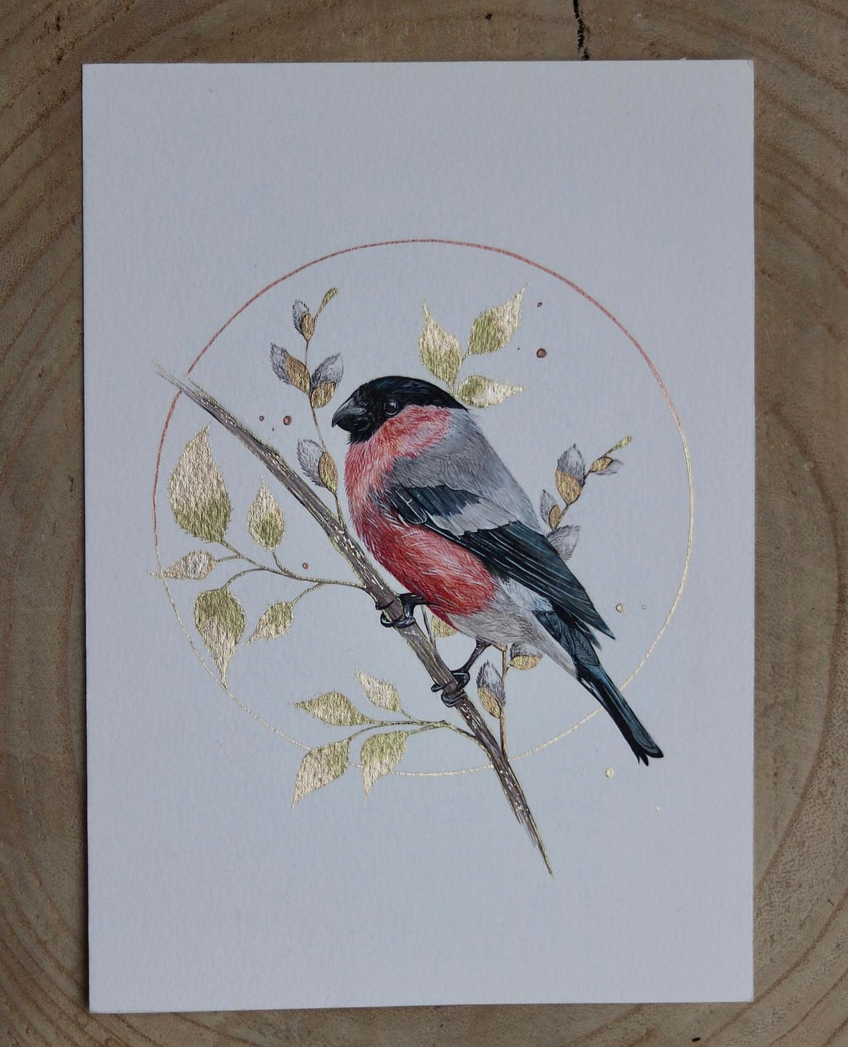 Gallery & Testimonials - Lisilinka