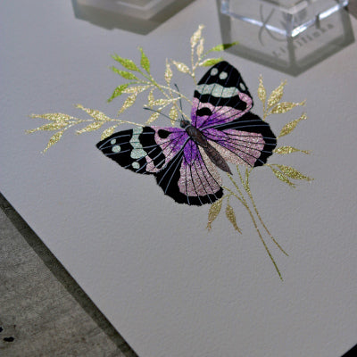 Newsletter_info - Lisilinka